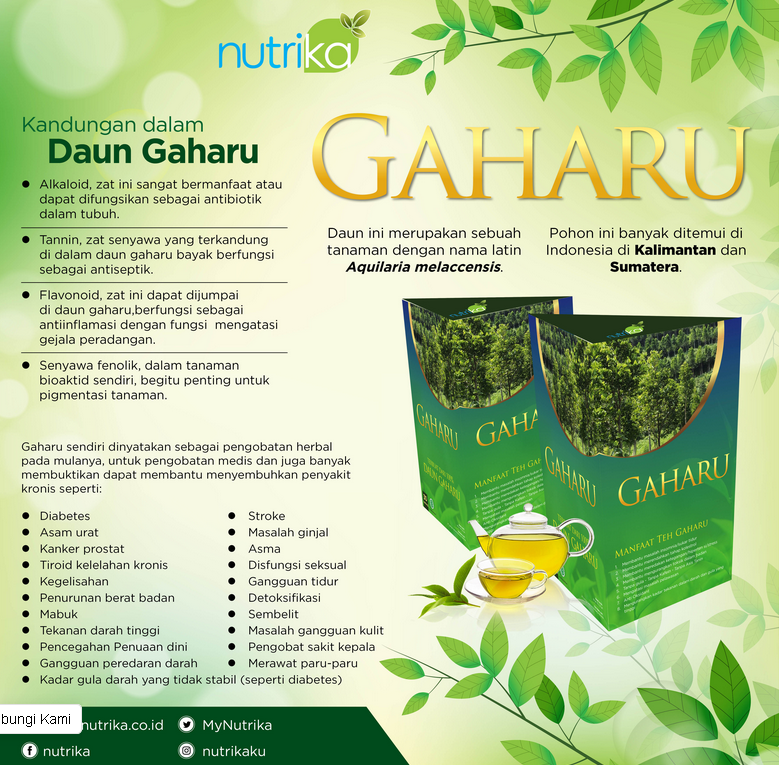 Khasiat Dan Manfaat Daun Gaharu Nutrika Bagi Kesehatan Juga Pengobatan ...