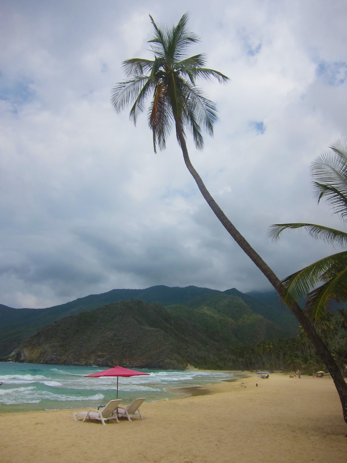 Planea tu escape perfecto a Choroní - Viajero de naturaleza