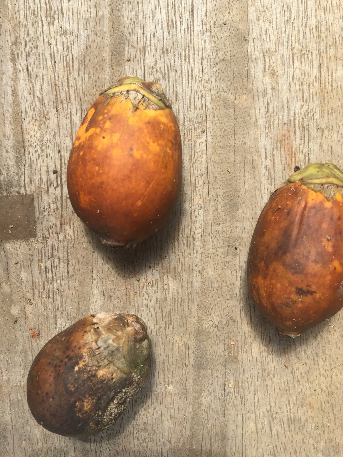 Learning to Live Peace