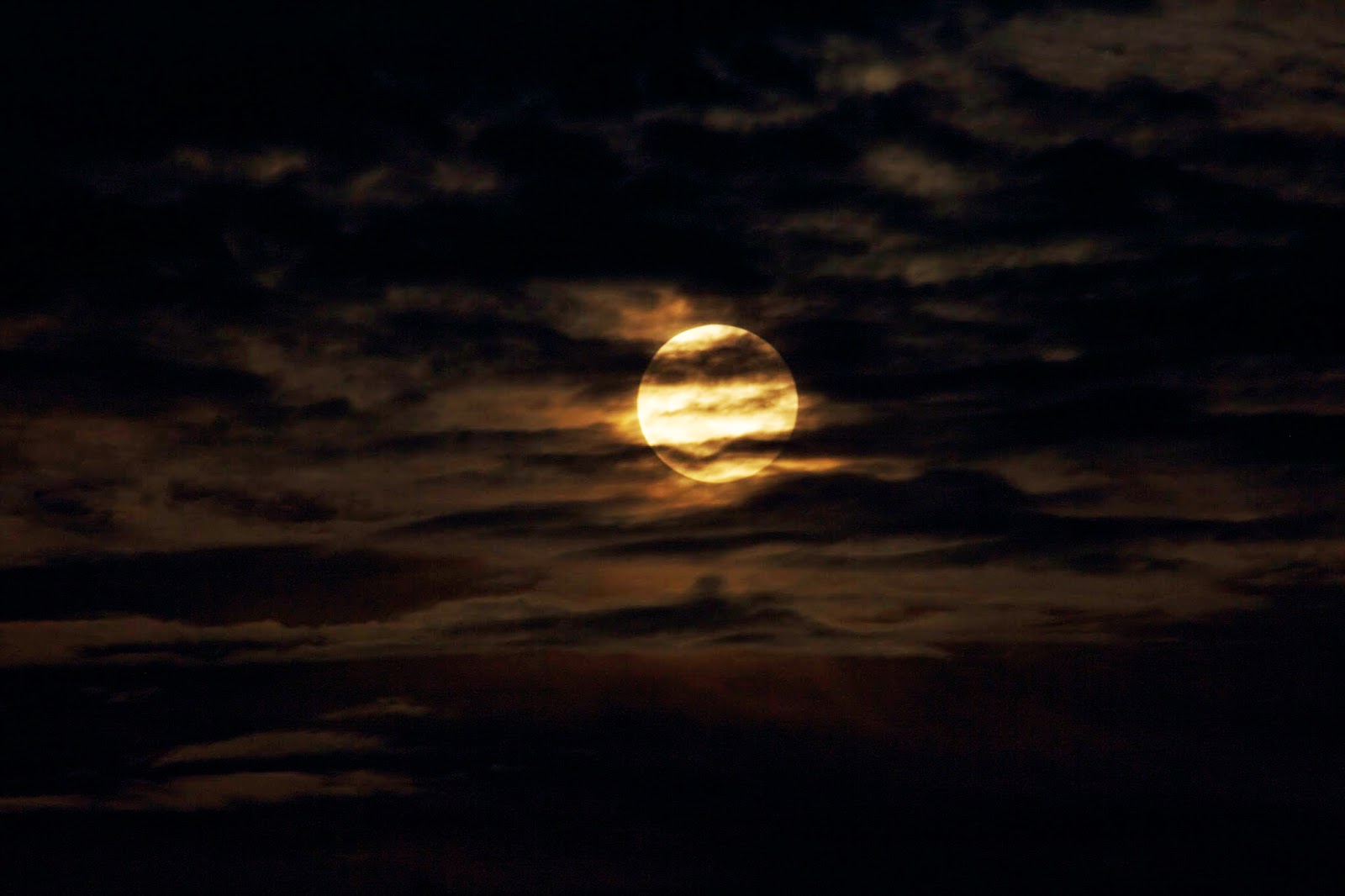 Stellar Neophyte Astronomy Blog: October 2013