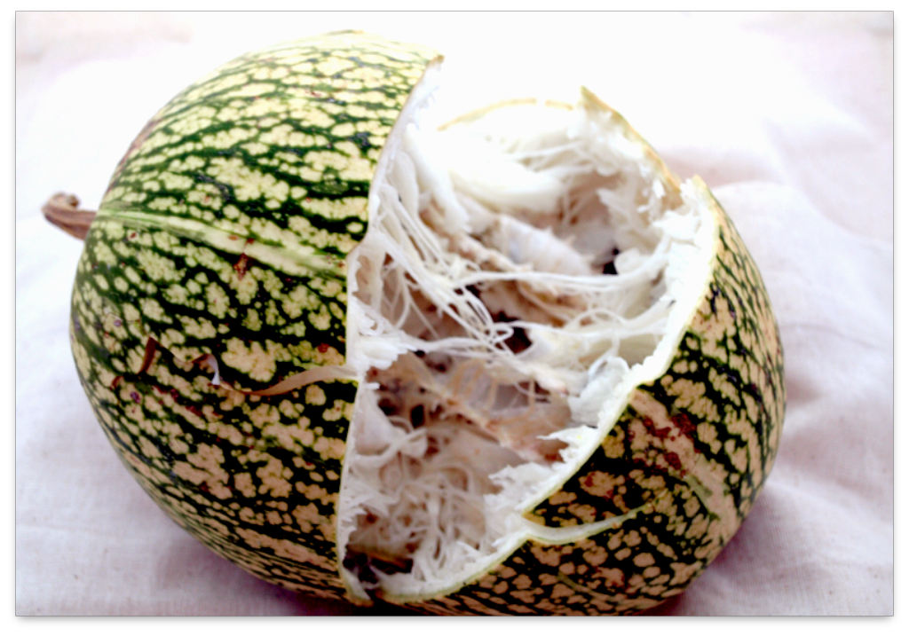 LA MURGA de Nito: abril 2014