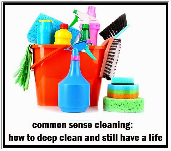 Organized and Simplified!: Common Sense Cleaning: Cleaning Supplies and ...
