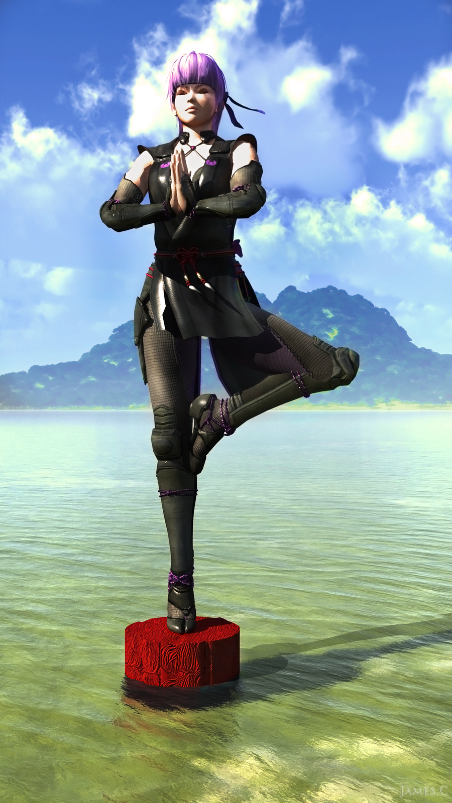 BLOOD WORK: TOP TEN FAVORITE NINJAS (VIDEO GAMES: FEMALE)