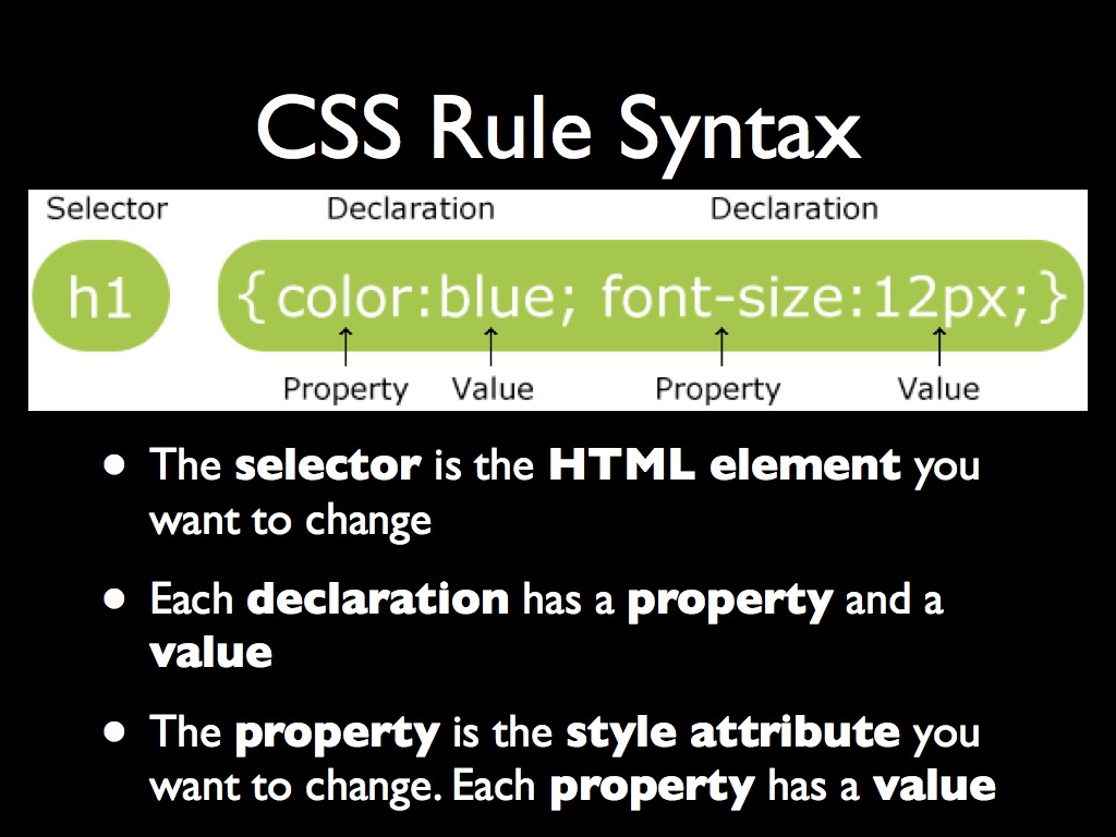 Mister Wilson S Web Design Class New Assignment Css Basics
