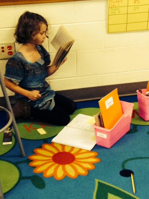 Team McNitt: Digging Deeper with Reading