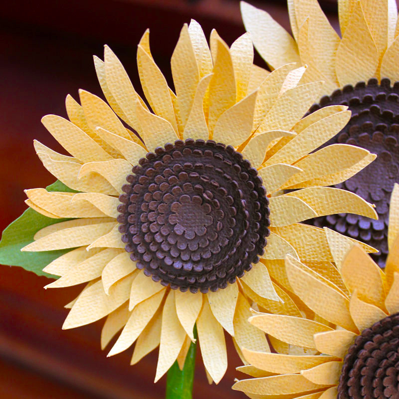 Doodlebug Design Inc Blog: Beautiful Cardstock Challenge Sunflowers by ...