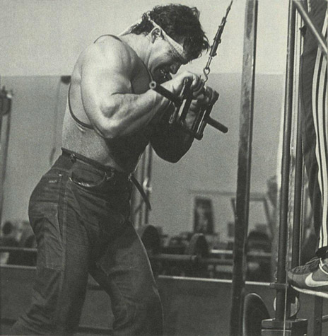 The Barbarian Brothers – STRENGTH FIGHTER