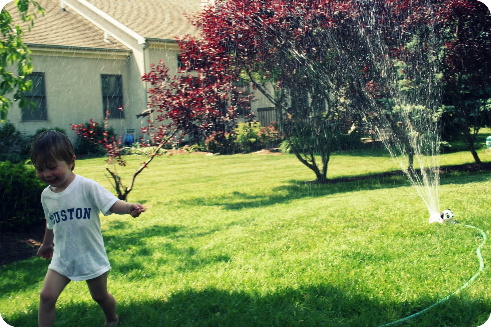 sweet cheery tree lane: good old fashion sprinkler fun