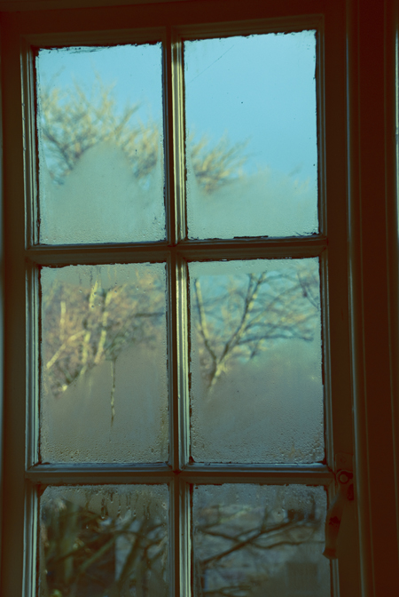 Anca Sandu Illustration