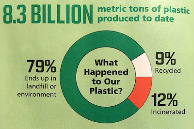 Daughter Number Three: Plastic Facts