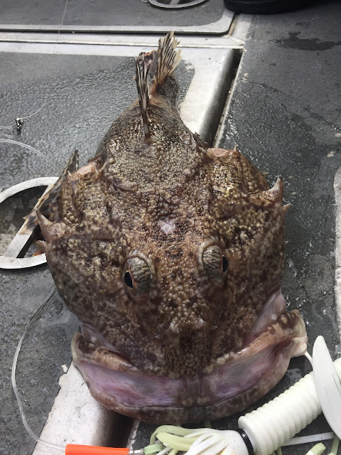 Pacific Northwest Saltwater Fish: A Spooled Fish Profile