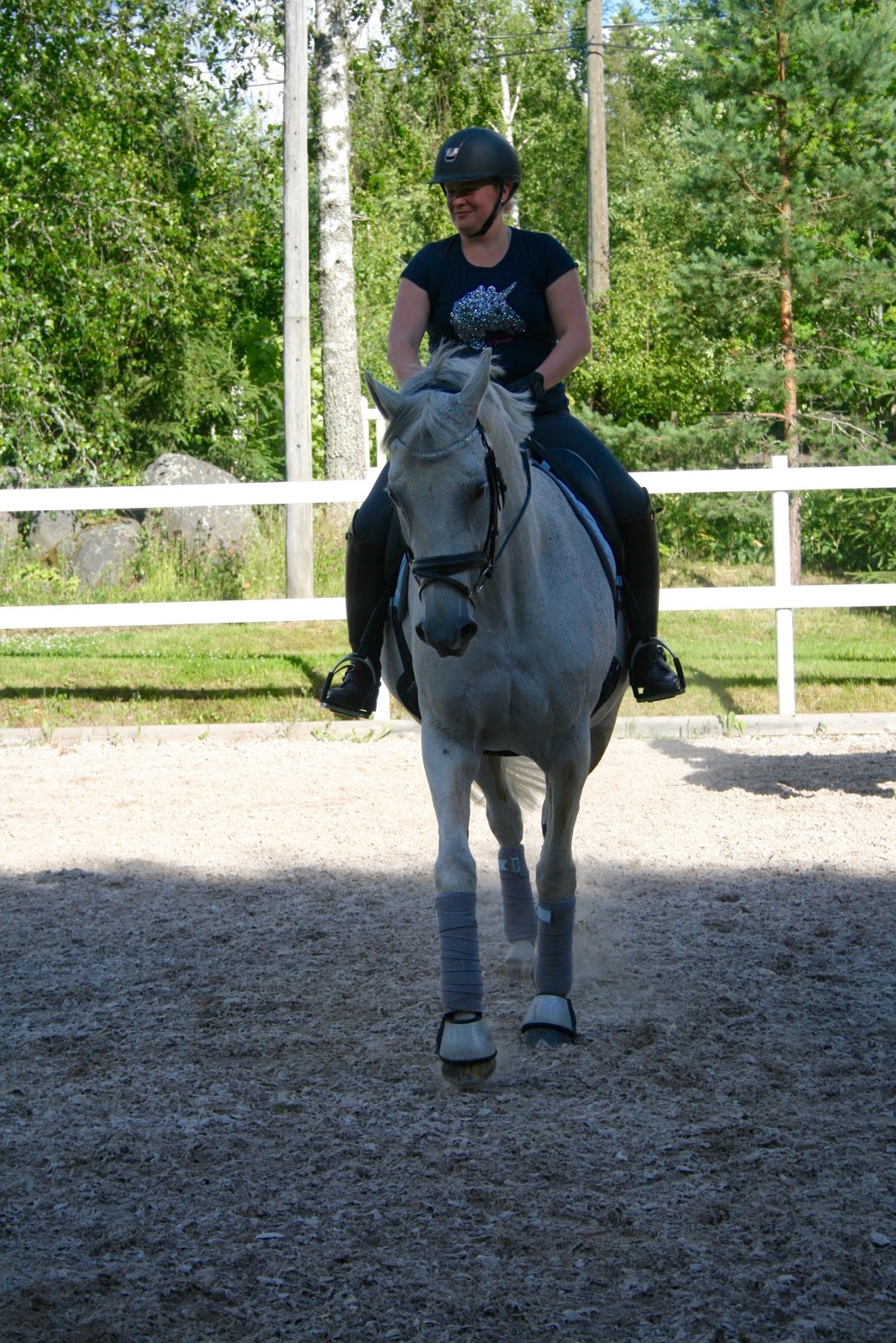 Roosa's Horsey Life: Riding exercise of the month: serpentines and ...
