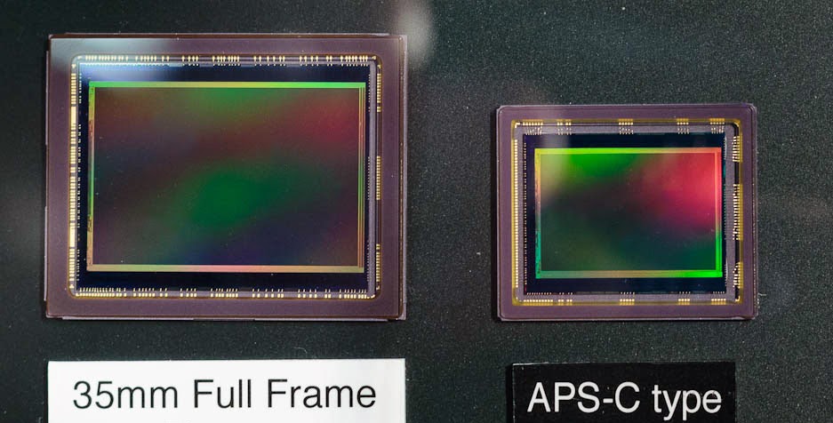 Guía fotografía digital: Entendiendo la importancia del sensor de ...