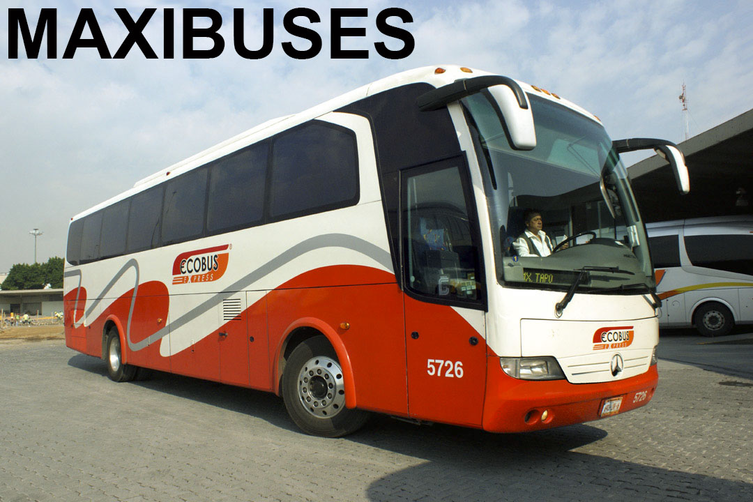 MAXIBUSES: AUTOBUSES ECOBUS, SERVICIO EXPRESS