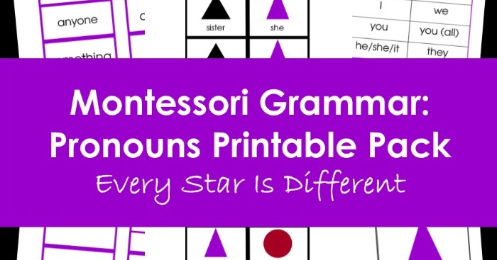 Every Star Is Different: Montessori Grammar: Pronouns Printable Pack
