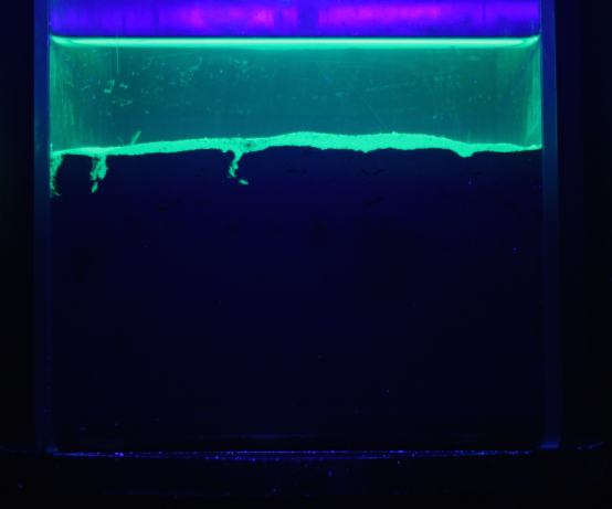 UK Shelf Sea Biogeochemistry Blog: luminophores
