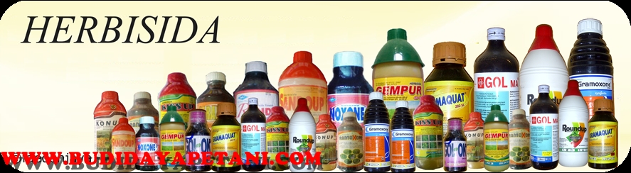 Pengertian Herbisida dan Jenis Jenis Herbisida - Cara Budidaya ...