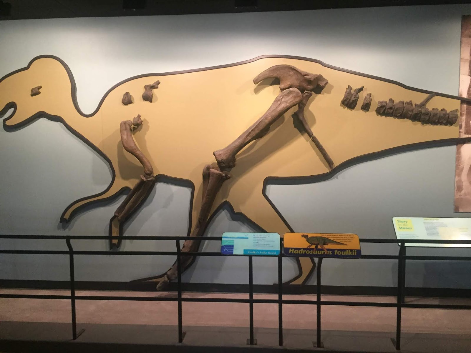 Prehistoric Beast of the Week: Hadrosaurus: Beast of the week