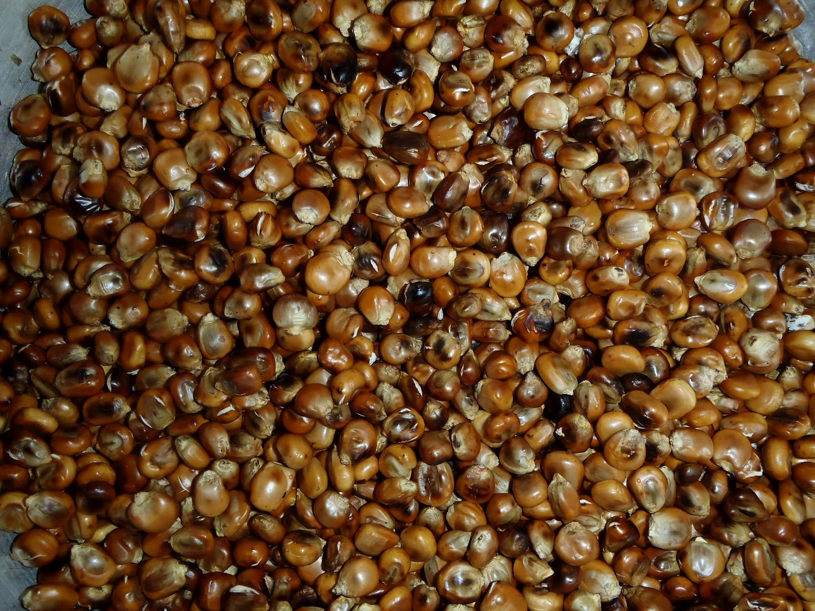 Adventures Near and Far: Monday: Day 2 of a Week in My Life