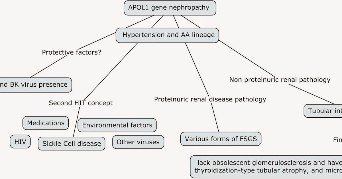 Nephron Power: Concept Map: APOL1 Nephropathy
