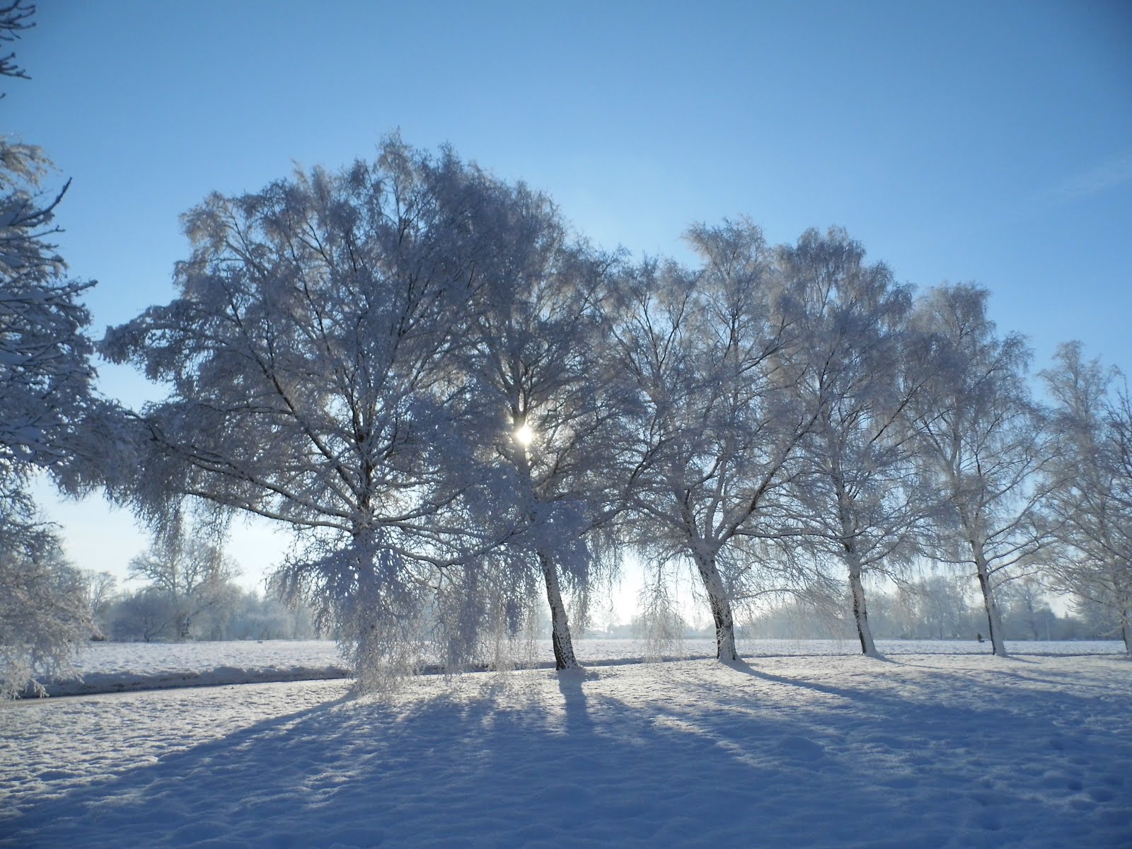 Old Buckenham blog: Snow scenes around Old Buckenham Green