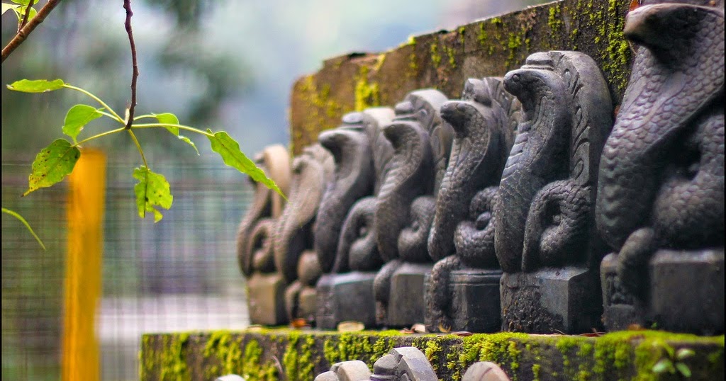 The Village that Slithers, in Shetpal, Maharashtra,INDIA