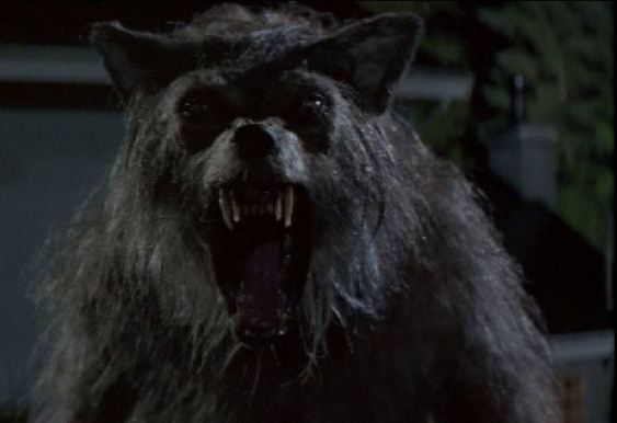 Kweeny Todd: Day 13: KWEENY'S ULTIMATE WEREWOLF LIST