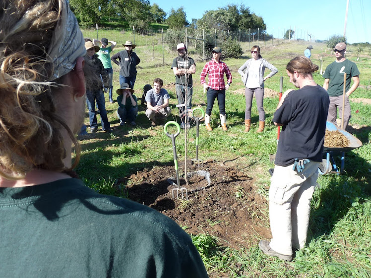 Indian Valley Organic Farm & Garden: Volunteer