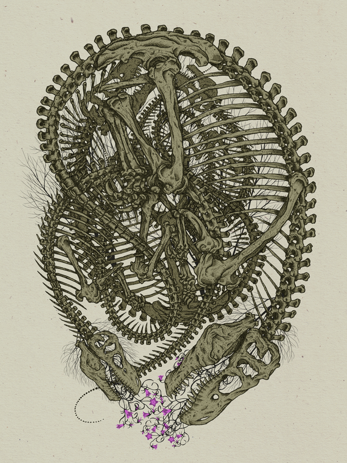 INSIDE THE ROCK POSTER FRAME BLOG: Dan McCarthy Print of the Month for ...