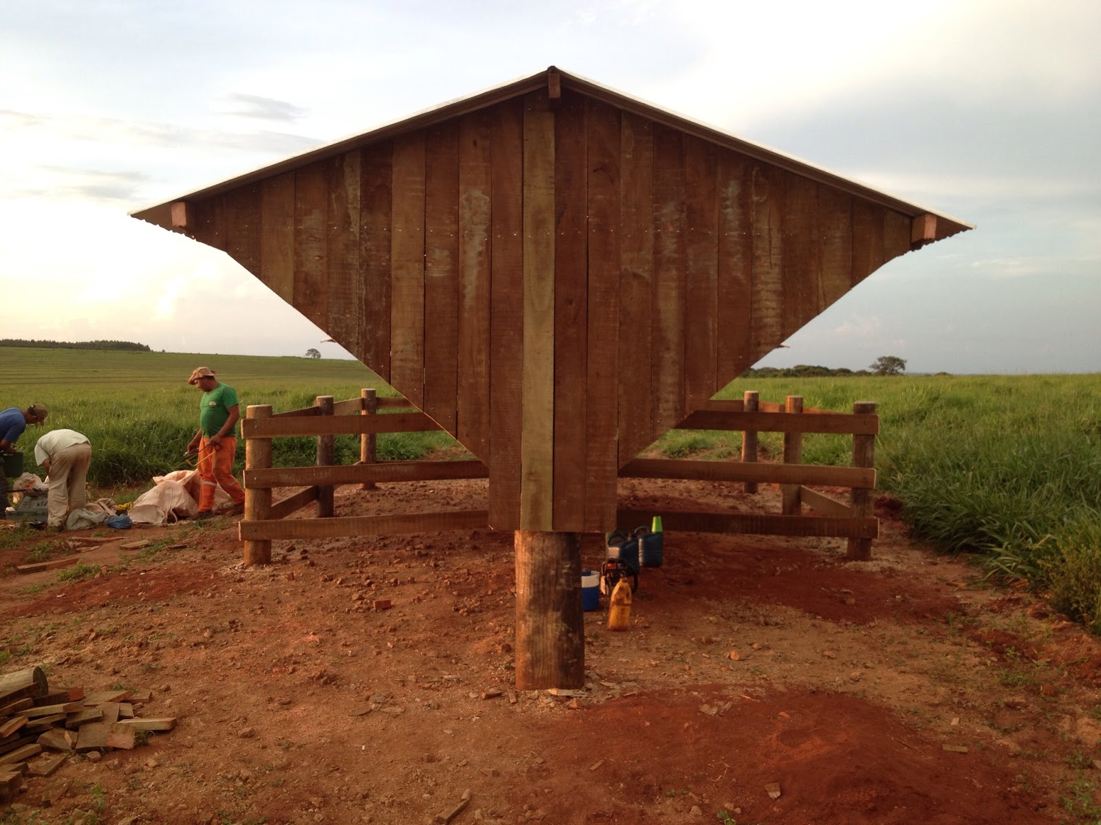 Pescaria e Carpintaria: Cocho Creep Feeding Stamm Eucalipto Tratado