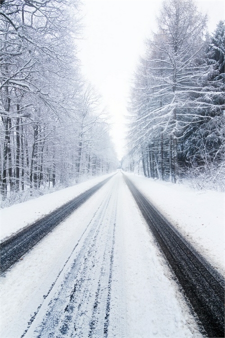 A Beautiful Snowy Road with Trees [5 Pictures]