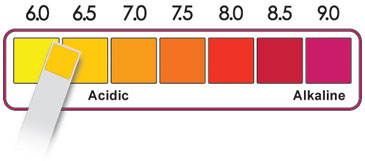Phenol Red Color Chart