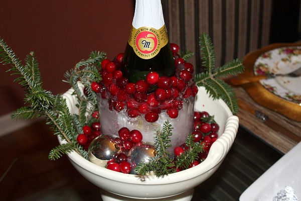 Recipes For Divine Living: Cranberry Ice Bucket