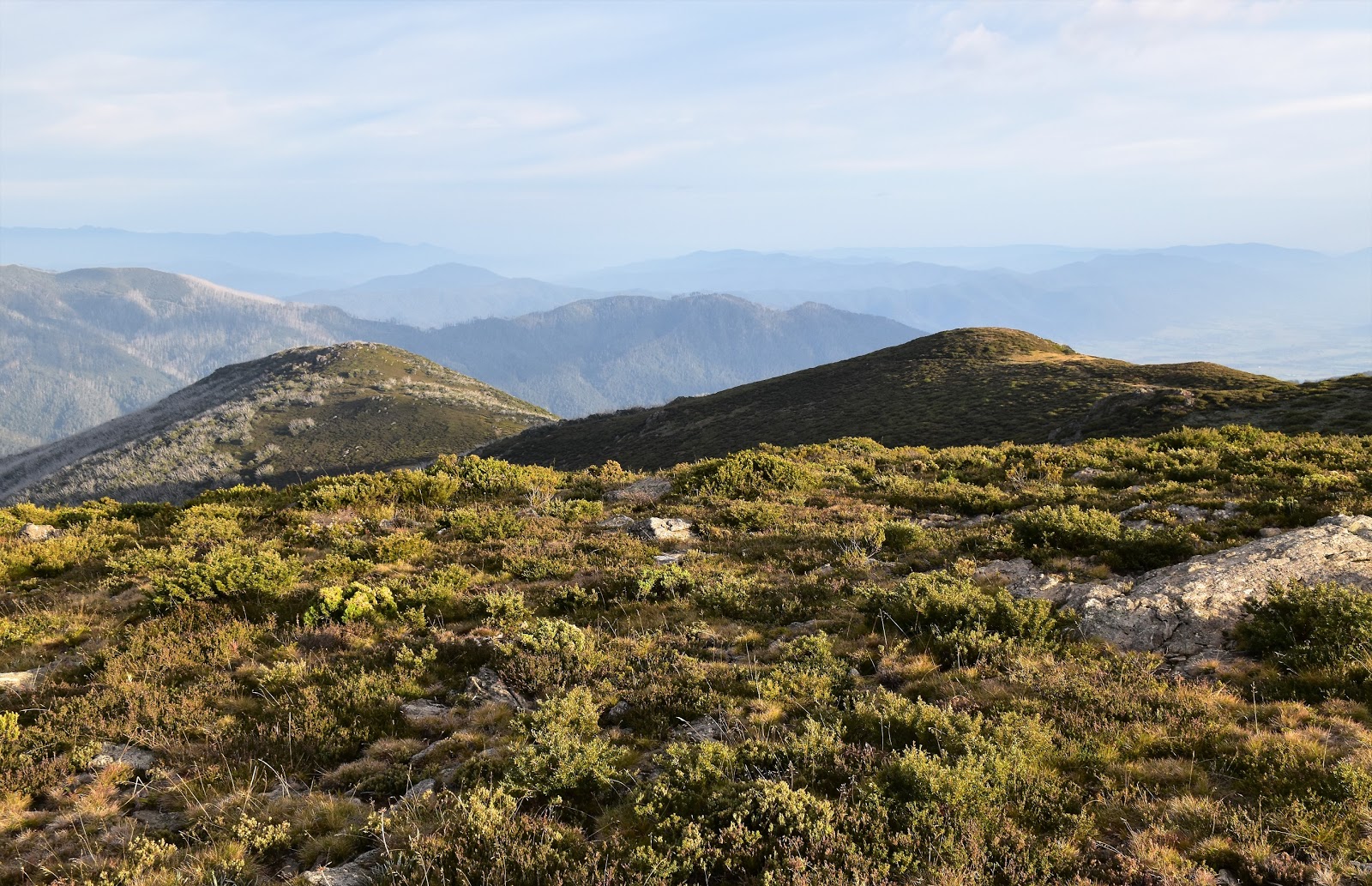 Goin' Feral One Day At A Time: Spion Kopje to Bogong Village, Bogong ...