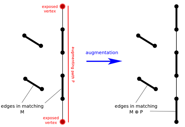 What is Blossom Algorithm - Explained - Code Cab
