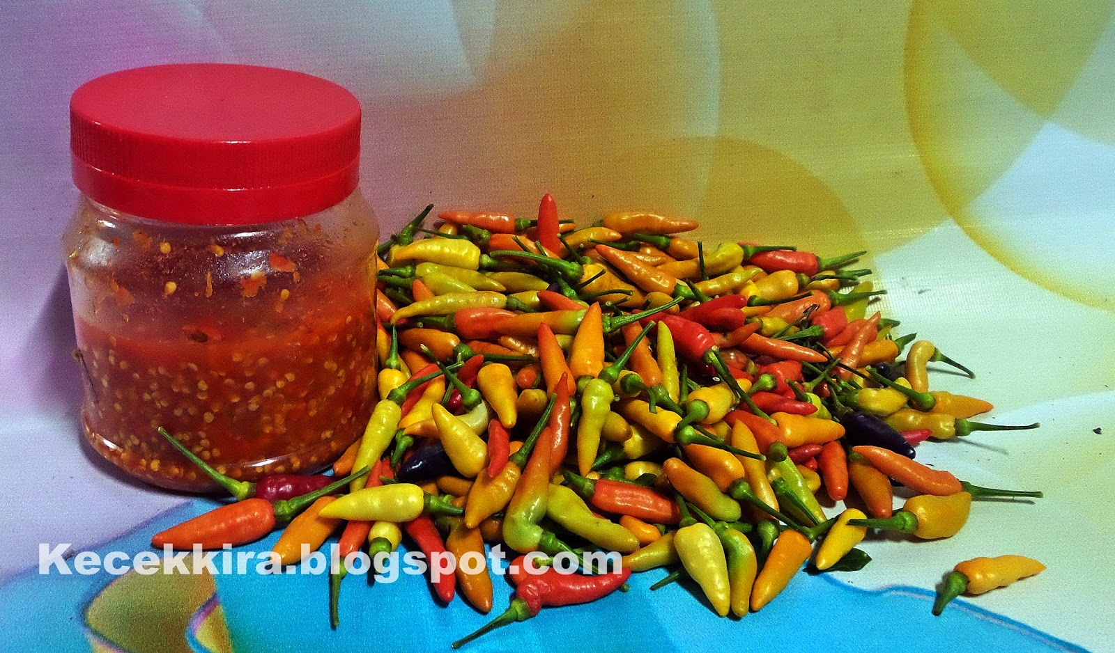 Pokcik Blogger: Hasil Dari Hobi #12 - Cara paling ringkas buat sambal lada