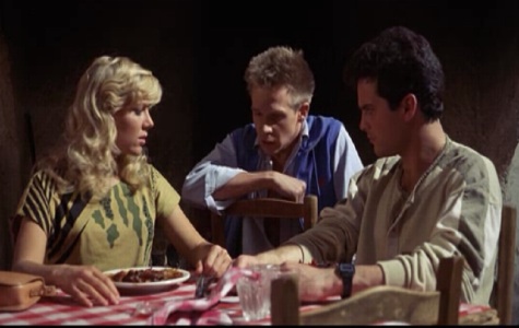 test blog: Movie Review: The Falling (1987)