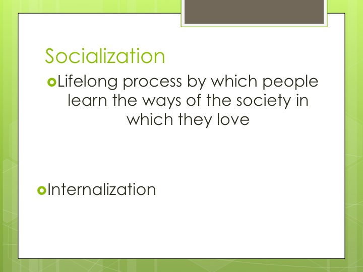 Intro to Sociology: Socialization - Powerpoints