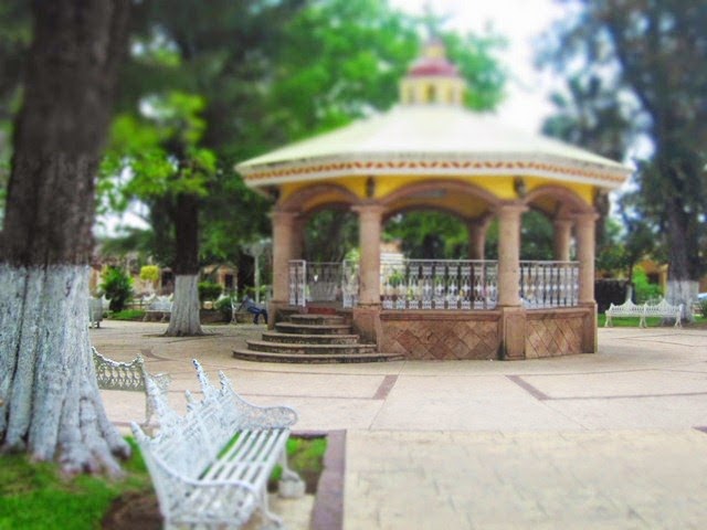 Coffee Break: Bienvenidos a Teuchitlán...