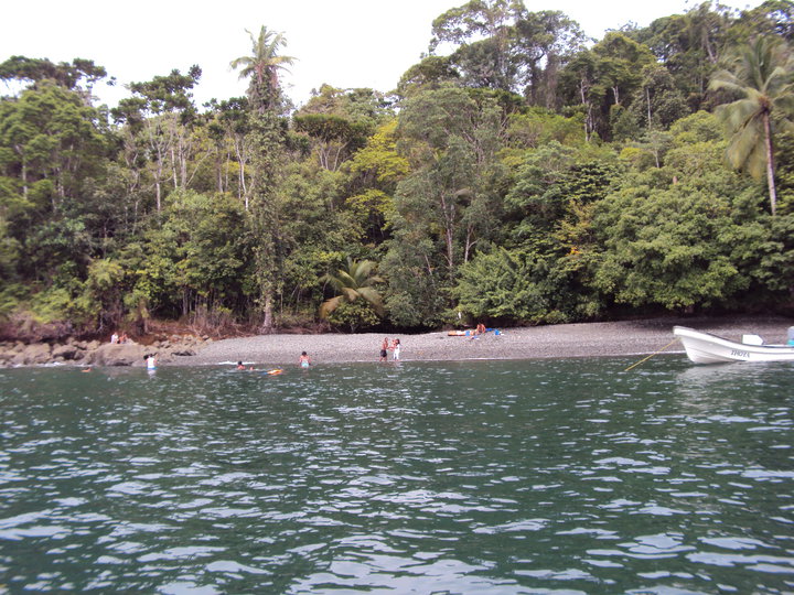 Guapi Cauca Costa Pacifica: Guapi te invita a visitar la Isla Gorgona