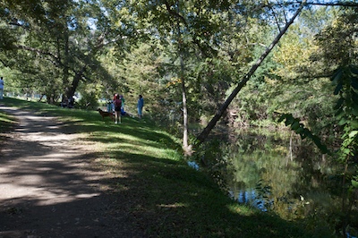 Date Nights at Half the Price: Calming Commons Ford Park