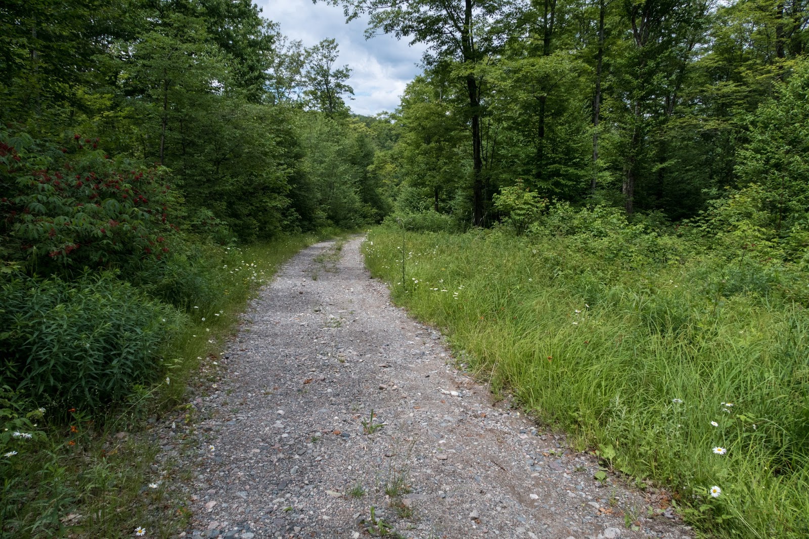 Eric's Hikes: Voyageur Trail: Harmony and Stokely Trails