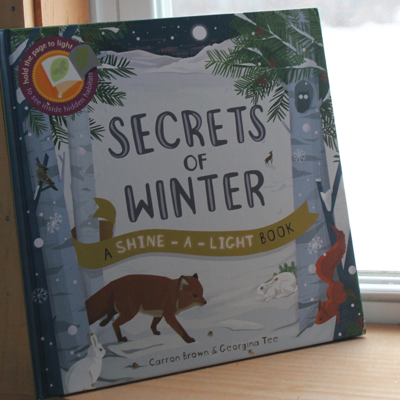 Books and Umbrellas: Secrets of Winter by Carron Brown & Illus by ...