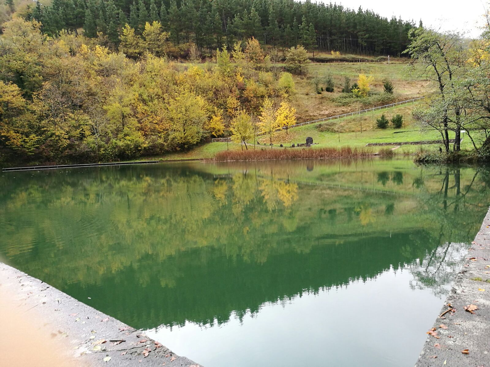 Atzegi Mendian: Zaldibia - Osinberde - Ausoegi. 13 noviembre 2016 ...