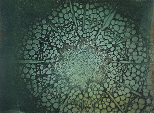 The History of Photography - Daily: 1840 - Andreas Ritter von ...