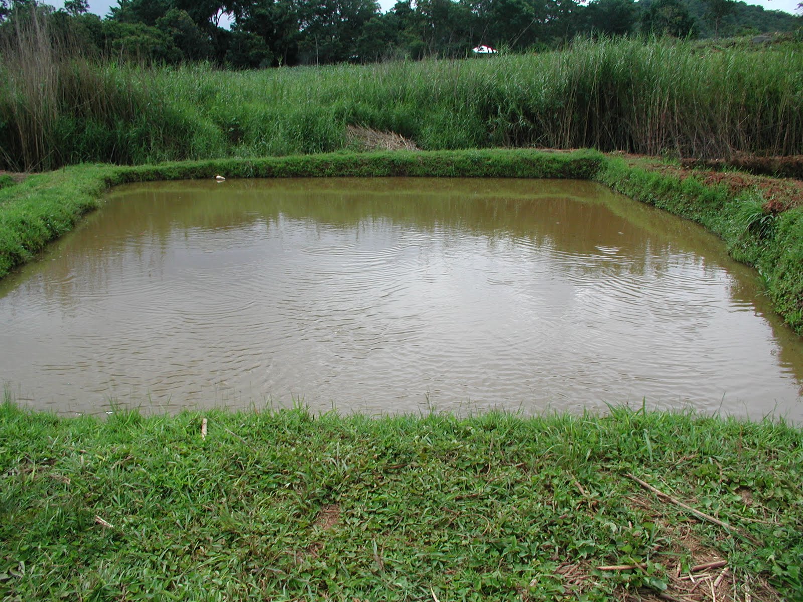 Dave's East Africa Blog: Day 12 Busia May 20, 2011