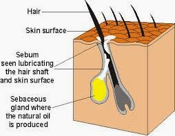 Dejavunaturals: All that hair: Healthy Hair Starts at the scalp