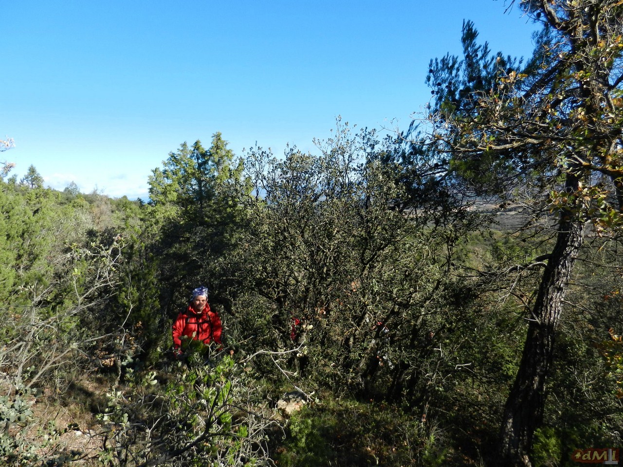0086 - Vértices Geodésicos C.V.: Mazorral (1113 m) / A+ 613 m / 23,36 ...