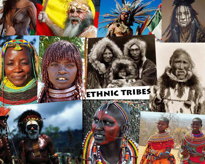 WILD KINGDOM: Moodboard