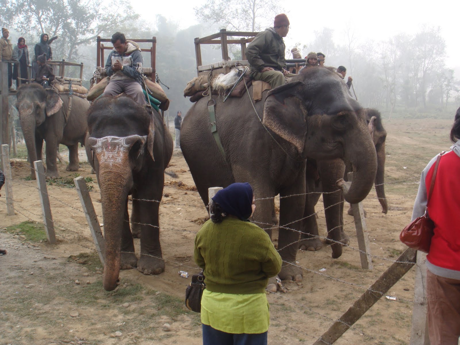 Chitra Ramaswamy's Travelogue: Symphony of the Jungle - Chitwan, Nepal